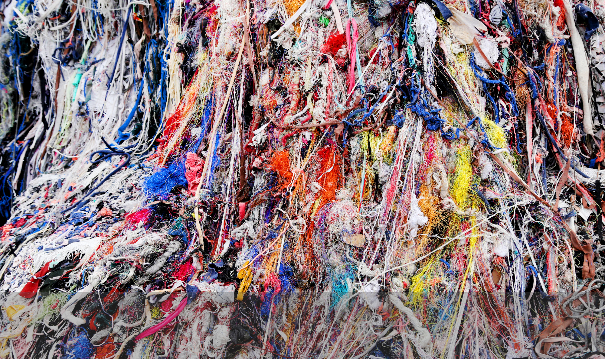 The Environmental Toll of Clothing Waste and How We Can Make a Differe ...